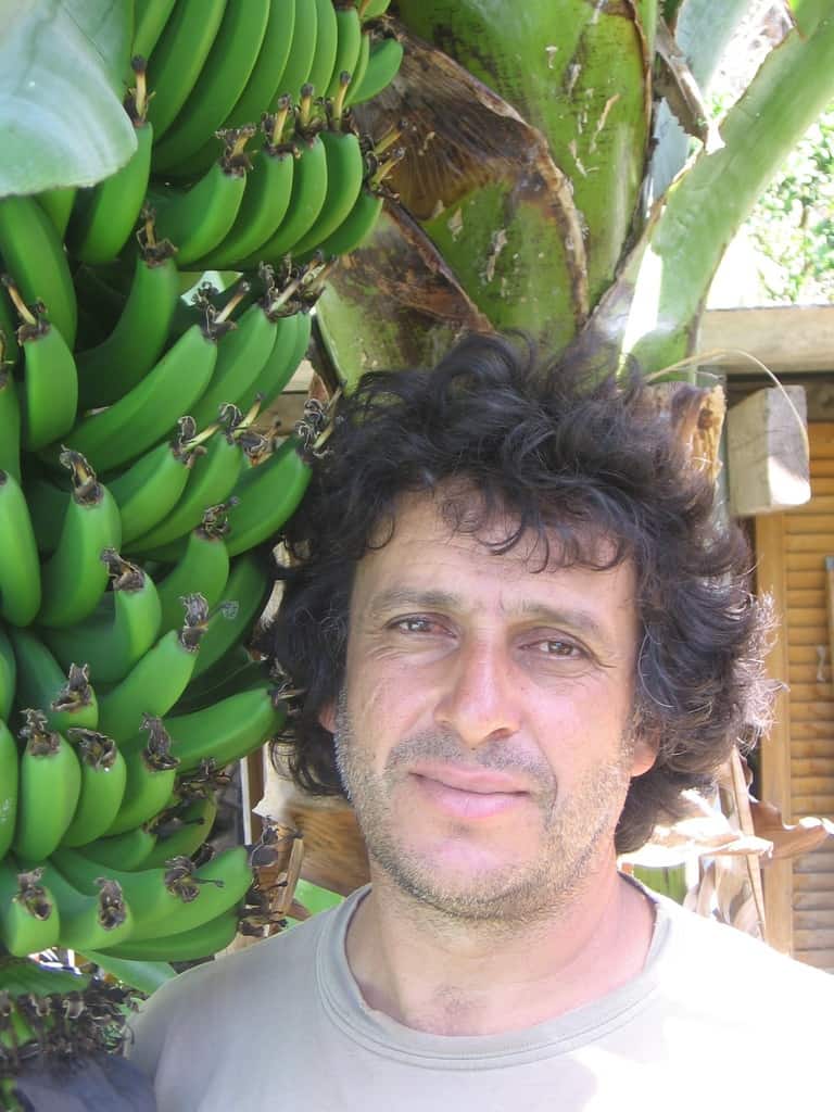 'Los Verdes' concurren por primera vez al Cabildo de La Gomera ...